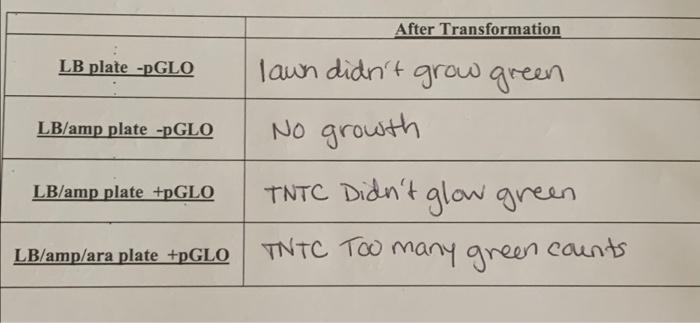 Solved 7a. What are satellite colonies?7b. On which of your | Chegg.com