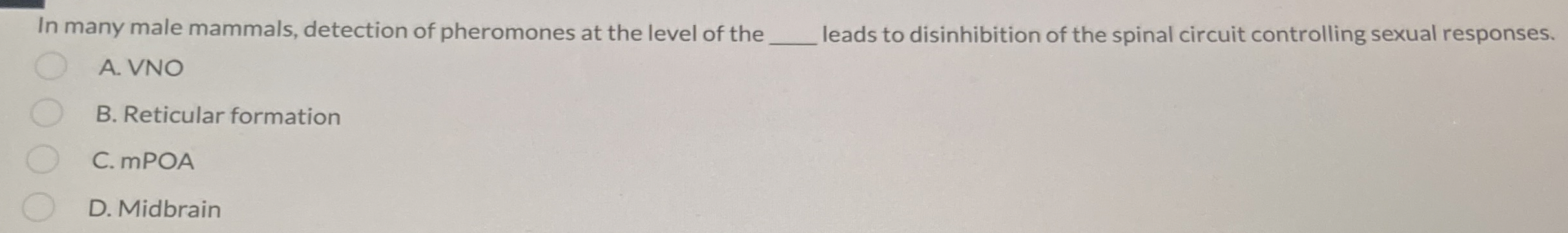 Solved In many male mammals, detection of pheromones at the | Chegg.com