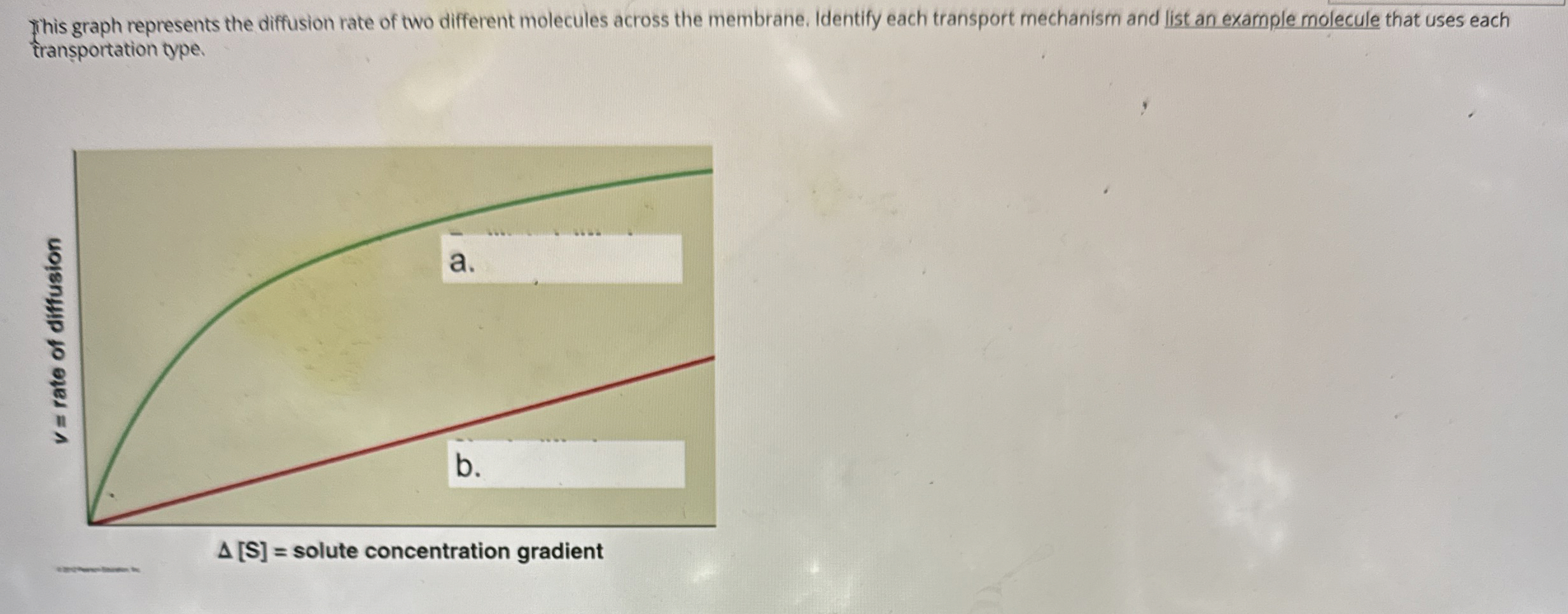Solved This graph represents the diffusion rate of two | Chegg.com