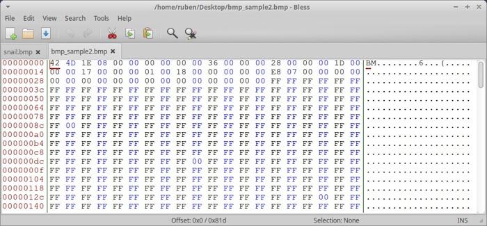 Solved Shown below is a valid BMP file that has been opened | Chegg.com