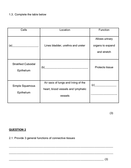 Solved 1.1. Draw and label a Simple Columnar Epithelium (5) | Chegg.com