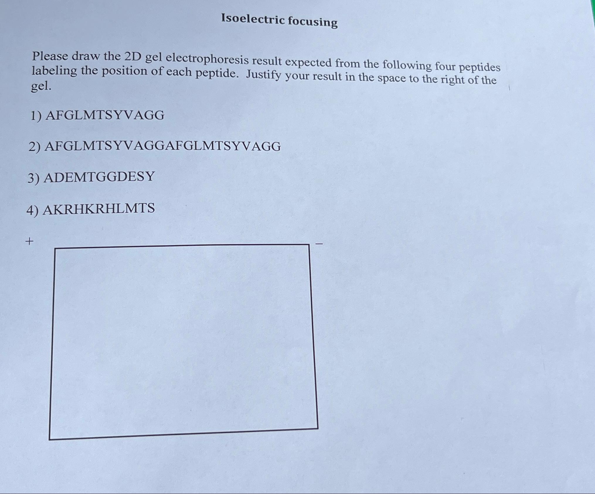 Solved Isoelectric focusingPlease draw the 2D ﻿gel | Chegg.com