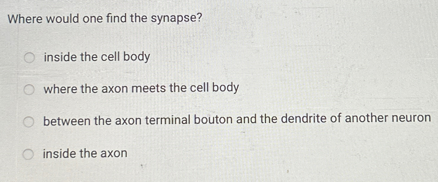 Solved Where would one find the synapse?inside the cell | Chegg.com