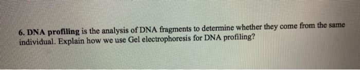 Solved Human Cat Whale Bat 4. The similarity that you see in | Chegg.com