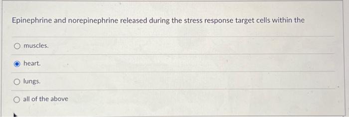 Solved Epinephrine and norepinephrine released during the | Chegg.com