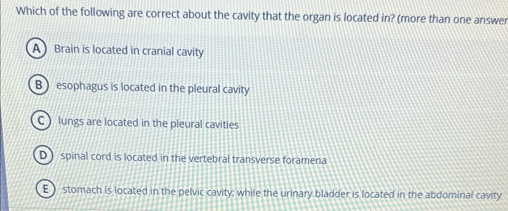 Solved Which of the following are correct about the cavity | Chegg.com