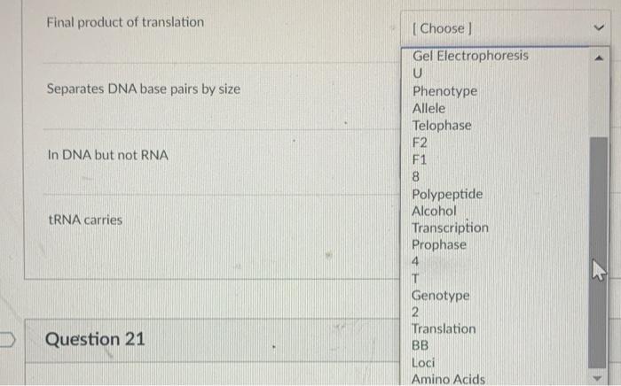 Solved Variation of a gene The triplet code in mRNA Second | Chegg.com