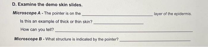 Solved D. Examine the demo skin slides. Microscope A - The | Chegg.com