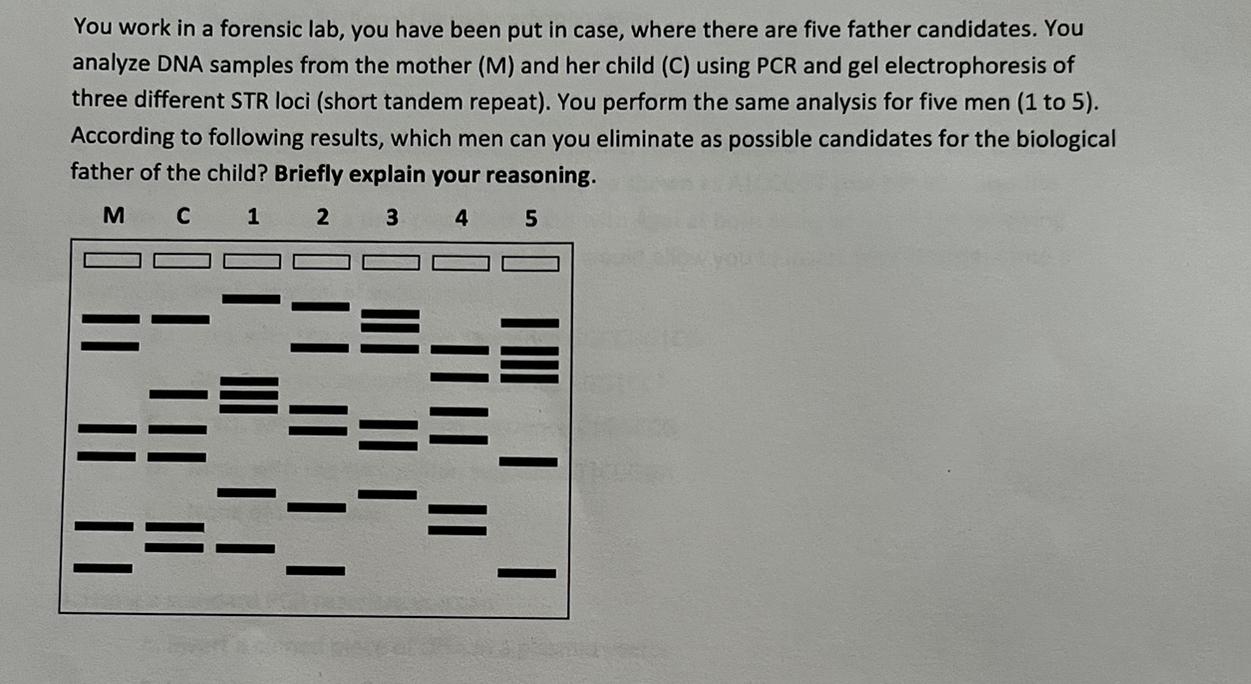 Solved You work in a forensic lab, you have been put in | Chegg.com