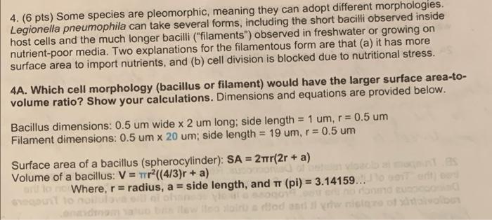Solved 4. (6 pts) Some species are pleomorphic, meaning they | Chegg.com
