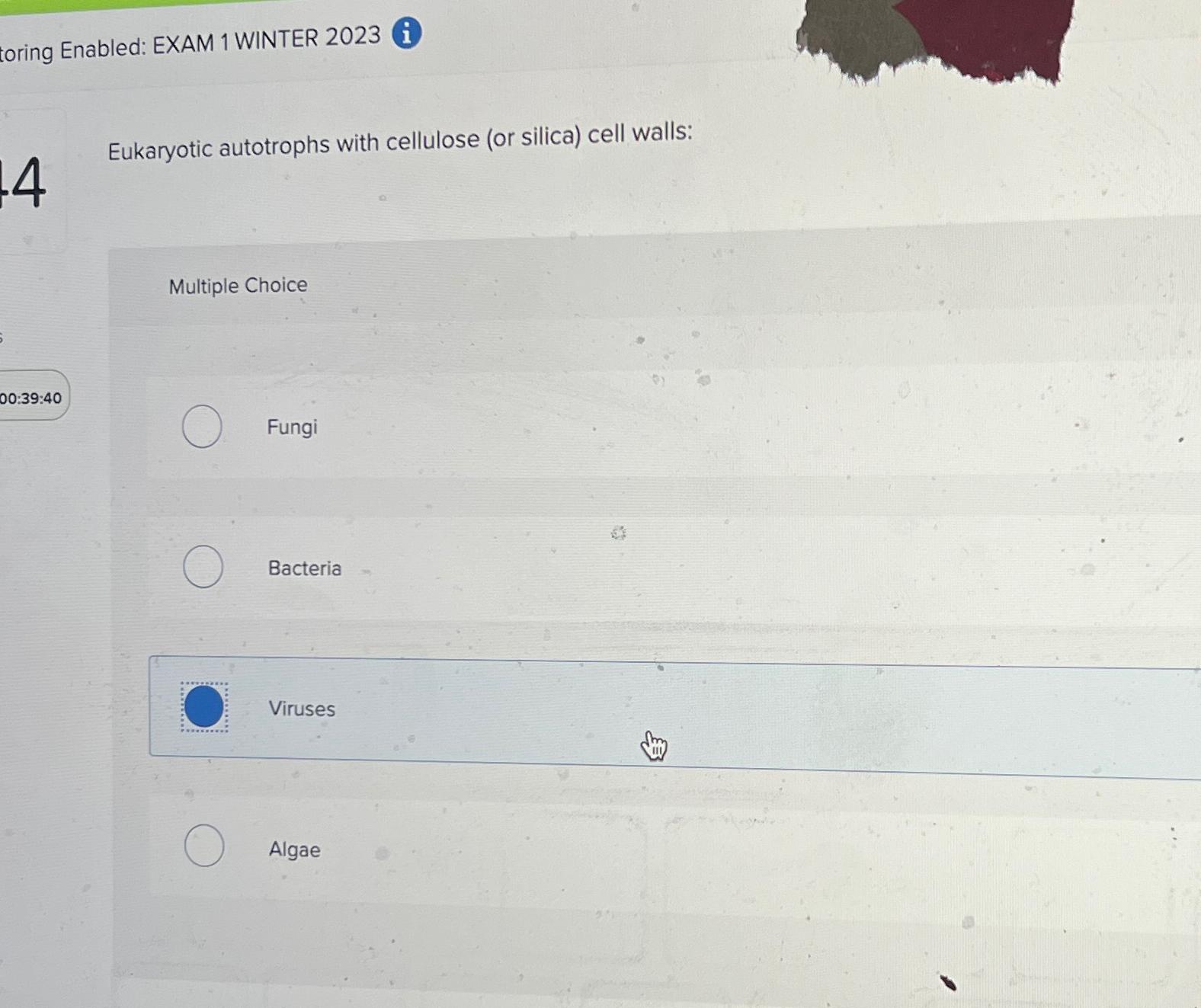 Solved toring Enabled: EXAM 1 ﻿WINTER 2023 ﻿iEukaryotic | Chegg.com