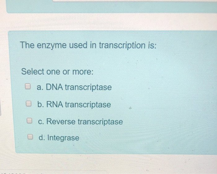Solved The enzyme used in transcription is: Select one or | Chegg.com