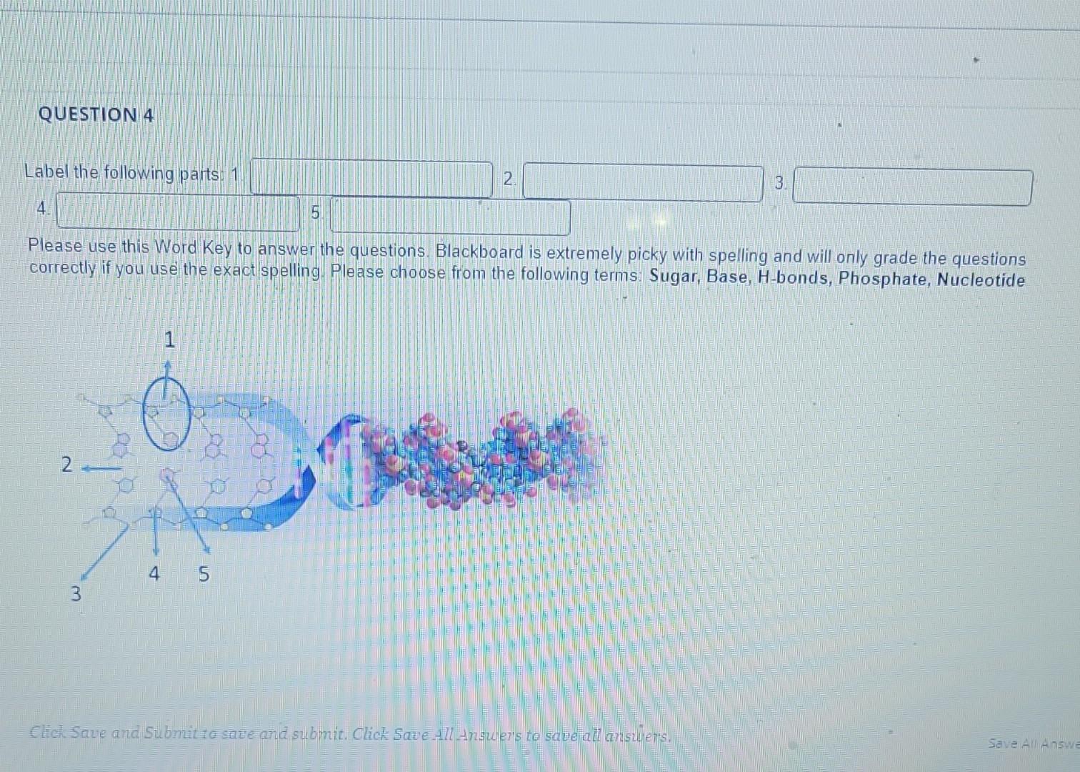 Solved Label the following parts: 1 2. 3. 4. 5. Please use | Chegg.com