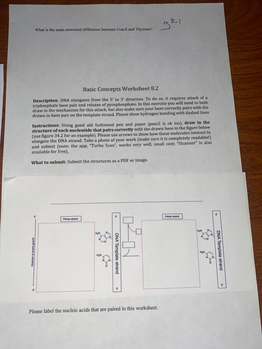 Basic Concepts Worksheet2 Basic Concepts Worksheet | Chegg.com