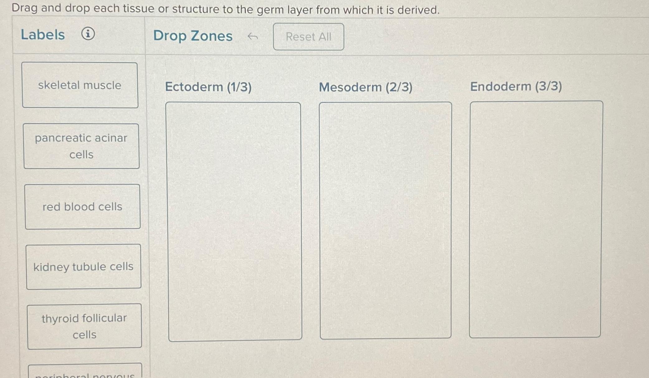 Solved Drag and drop each tissue or structure to the germ | Chegg.com