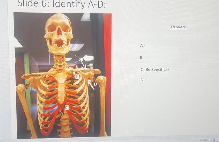 Solved please label the letters | Chegg.com