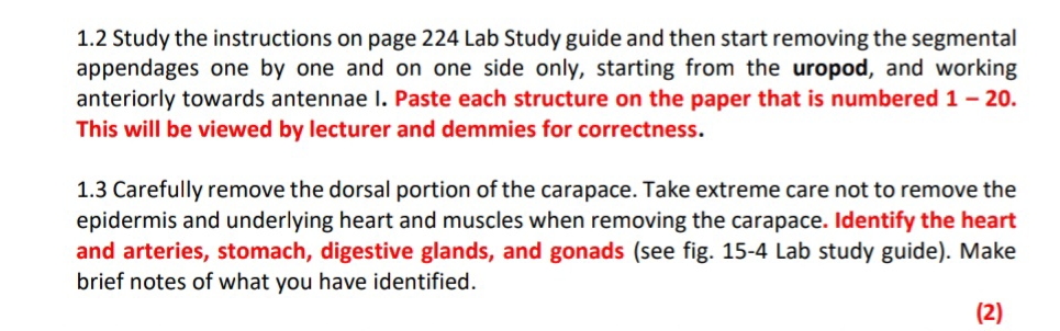 Solved 1.2 ﻿Study the instructions on page 224 ﻿Lab Study | Chegg.com