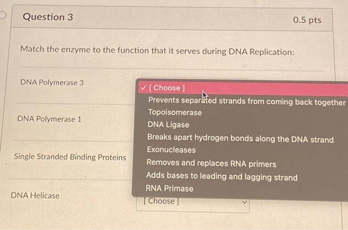 Solved match the enzyme to the function that it serves | Chegg.com