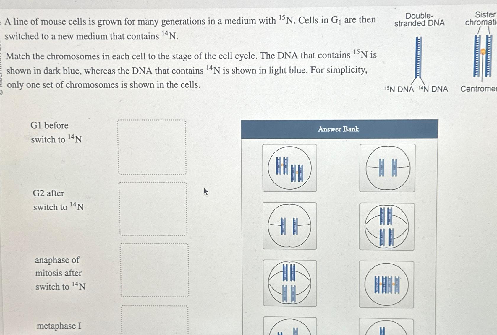 Solved A line of mouse cells is grown for many generations | Chegg.com
