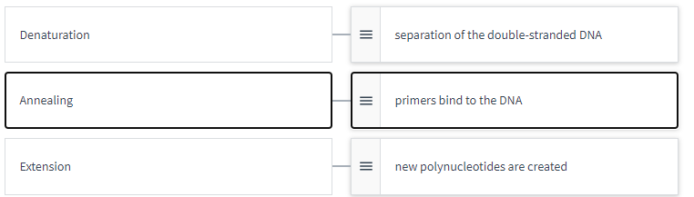 Solved separation of the double-stranded DNAnew | Chegg.com