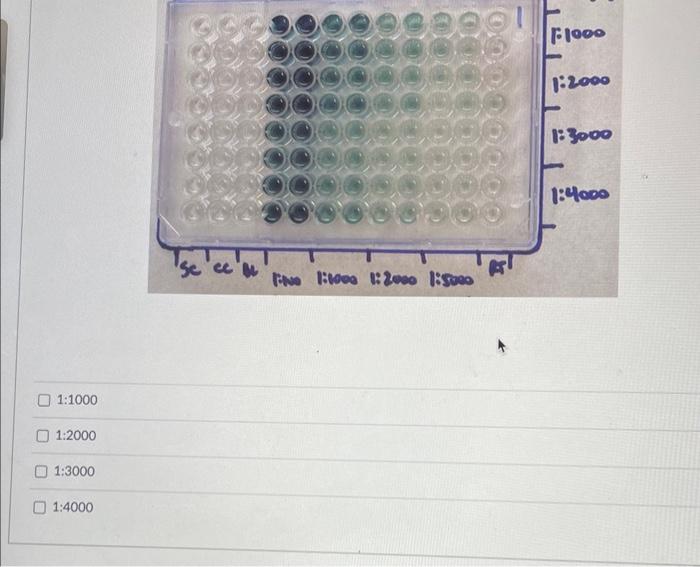 Solved The ELISA plate below shows results from a pilot | Chegg.com
