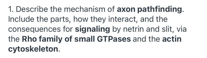 Solved 1. Describe the mechanism of axon pathfinding. | Chegg.com
