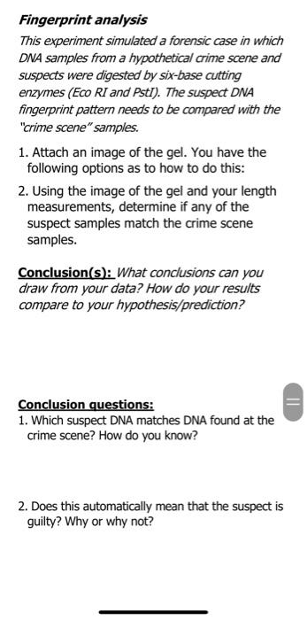 Solved Results: Provide any observations and/or data that | Chegg.com