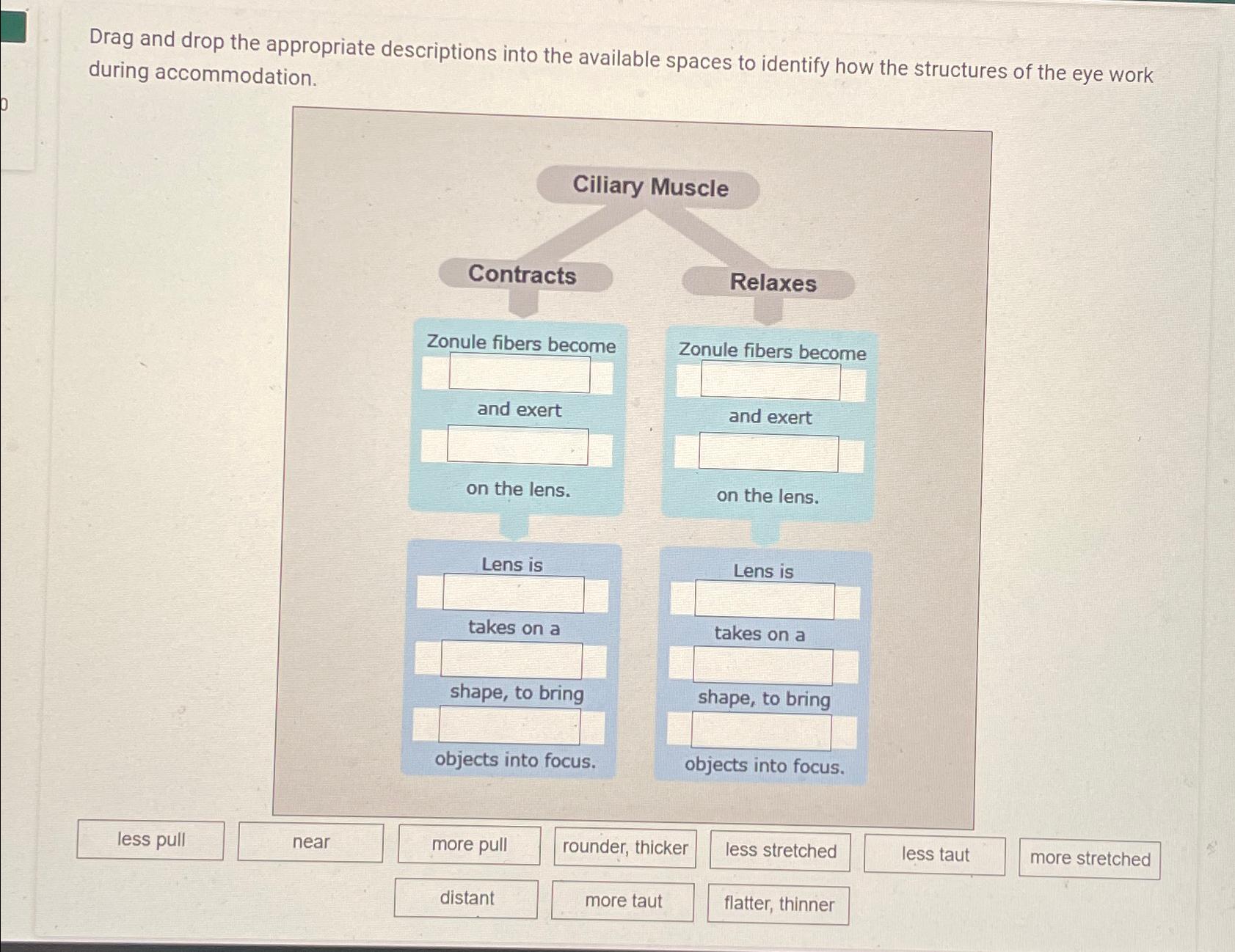 Solved Drag and drop the appropriate descriptions into the | Chegg.com