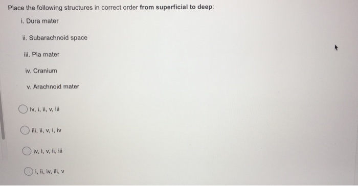 Solved Place the following structures in correct order from | Chegg.com