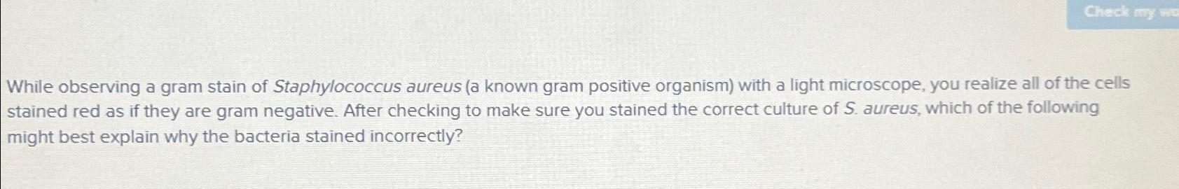 Solved While observing a gram stain of Staphylococcus aureus | Chegg.com