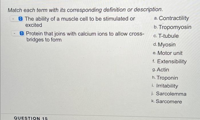 Solved Match each term with its corresponding definition or | Chegg.com