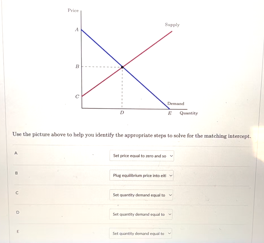 Use the picture above to help you identify the | Chegg.com