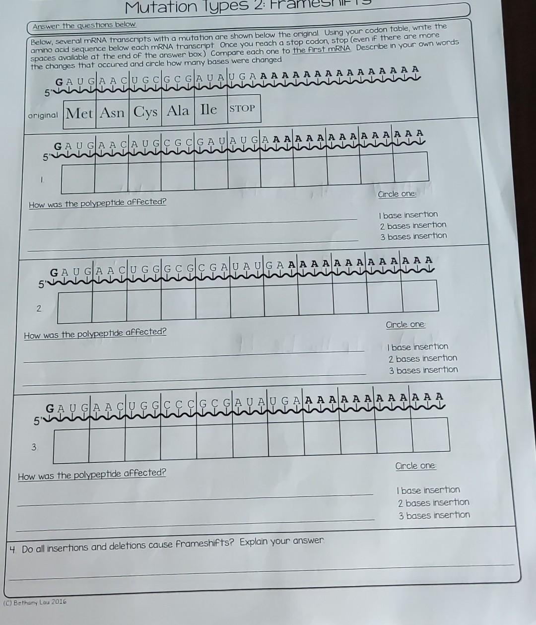 Solved Mutation Types 2: Answer the questions below Below, | Chegg.com