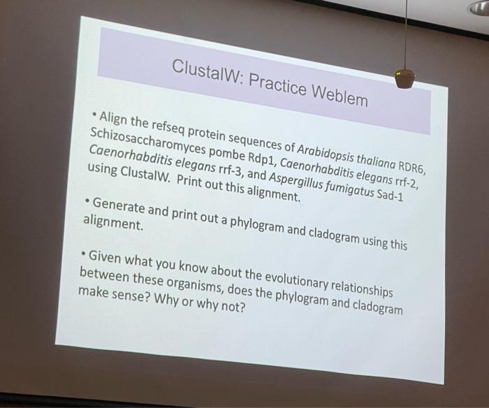 Solved ClustalW: Practice Weblem • Align the refseq protein | Chegg.com