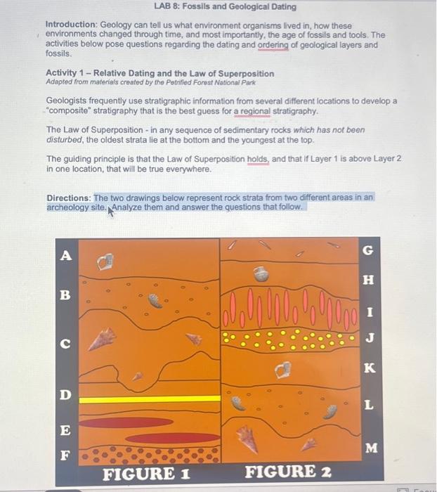 LAB 8: Fossils and Geological Dating Introduction: | Chegg.com