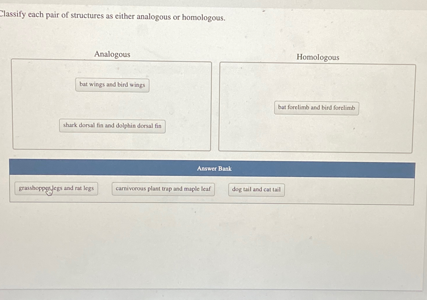 Solved Classify each pair of structures as either analogous | Chegg.com