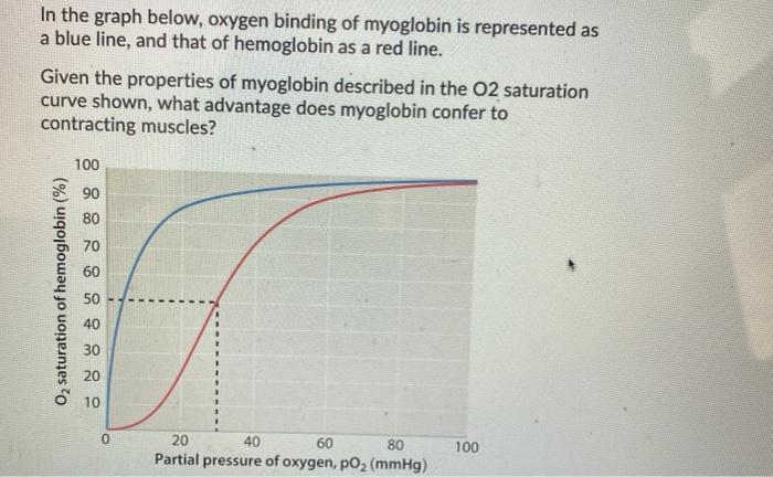 Solved In the graph below, oxygen binding of myoglobin is | Chegg.com