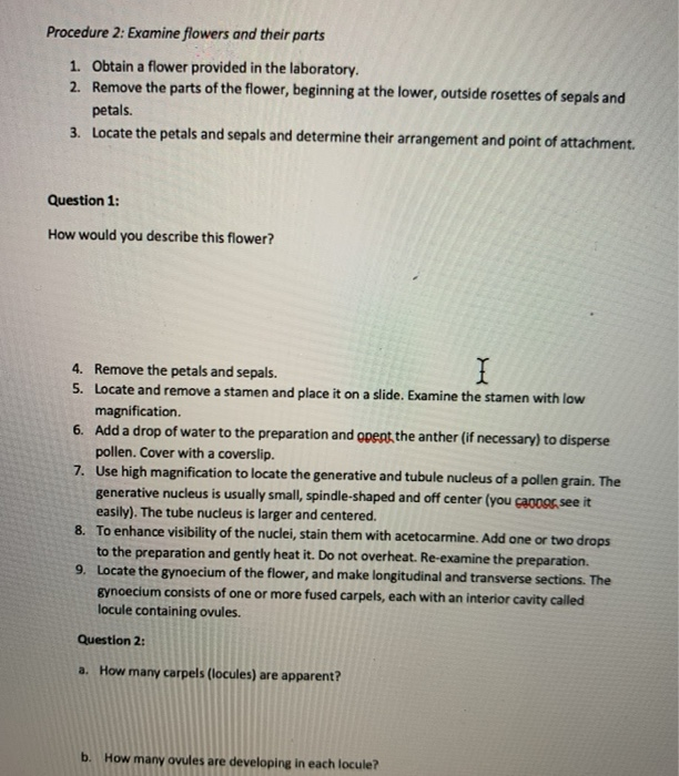 Solved Procedure 2: Examine flowers and their parts 1. | Chegg.com