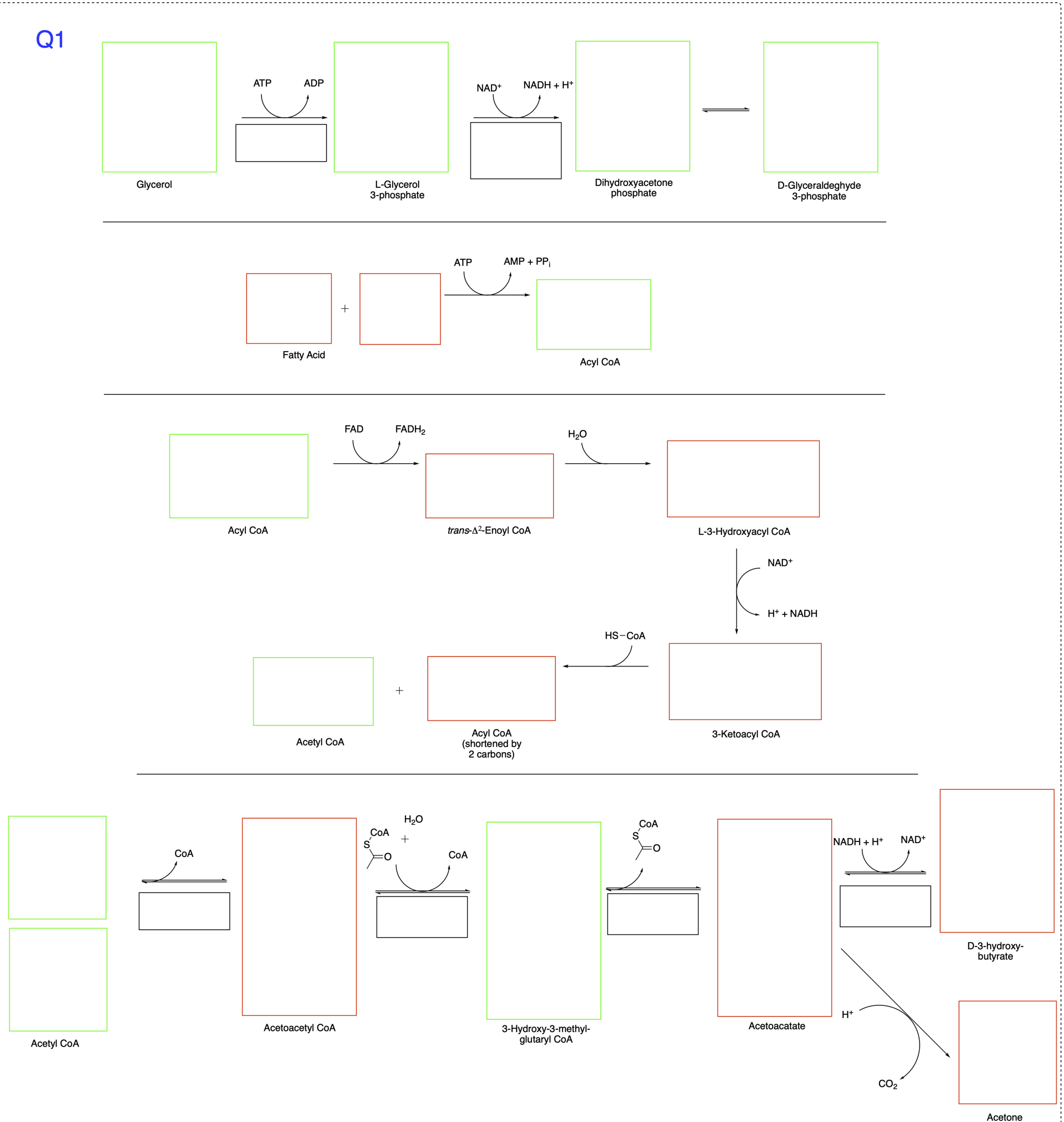 Solved Can you please fill this out with the proper | Chegg.com