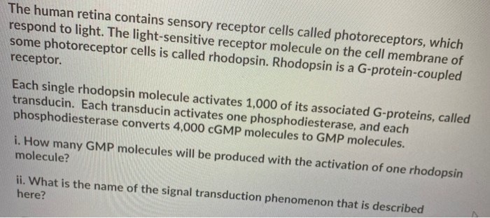 Solved The human retina contains sensory receptor cells | Chegg.com