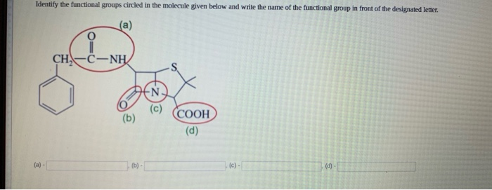 Solved Identify the functional groups Circled in the | Chegg.com