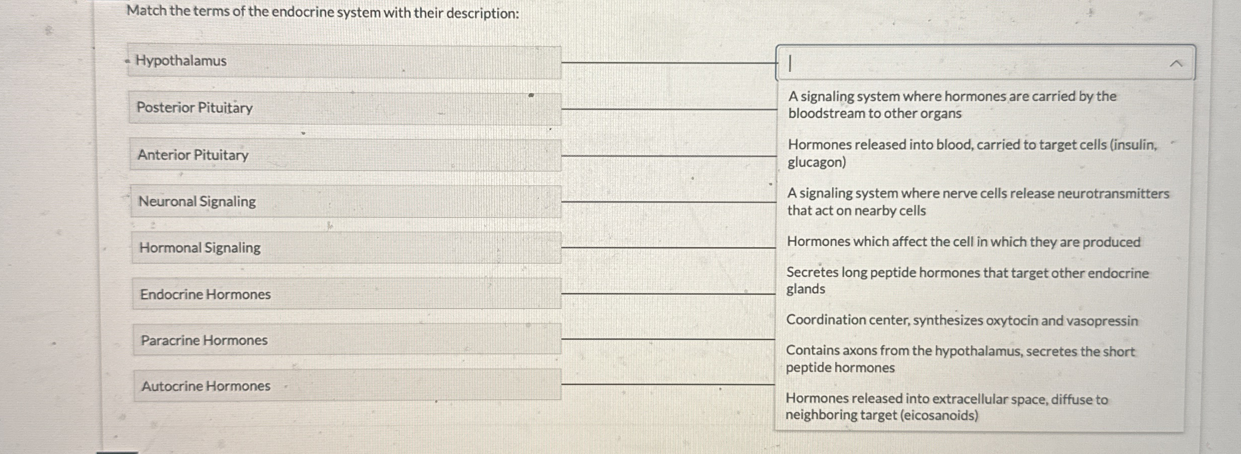 Solved Match the terms of the endocrine system with their | Chegg.com
