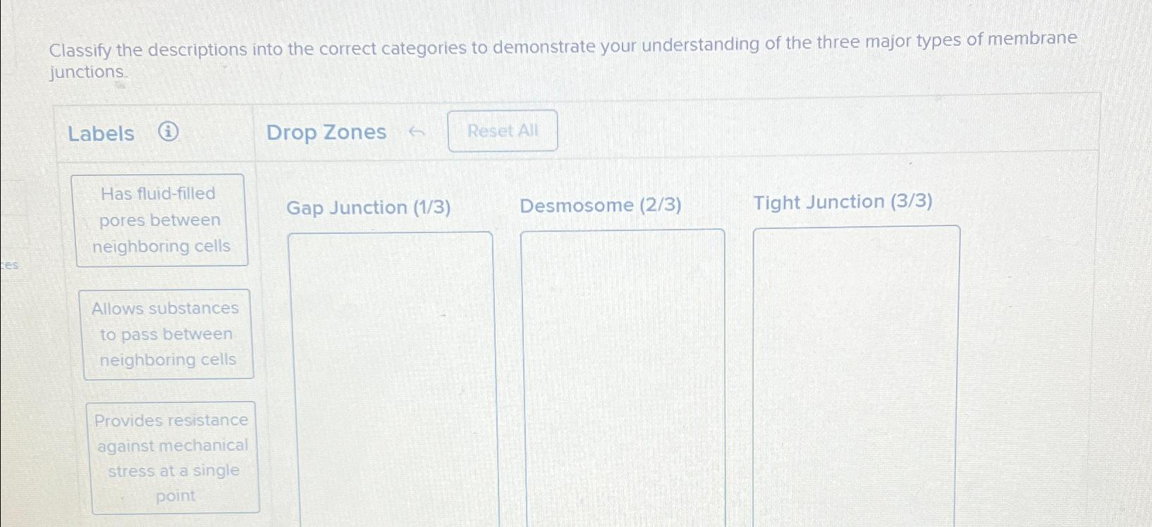 Solved Classify the descriptions into the correct categories | Chegg.com