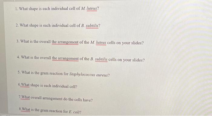 Solved 1. What shape is each individual cell of M. luteus? | Chegg.com