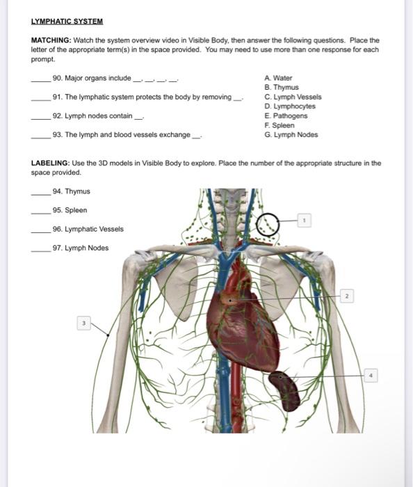 MATCHING: Watch the system overview video in Visible | Chegg.com