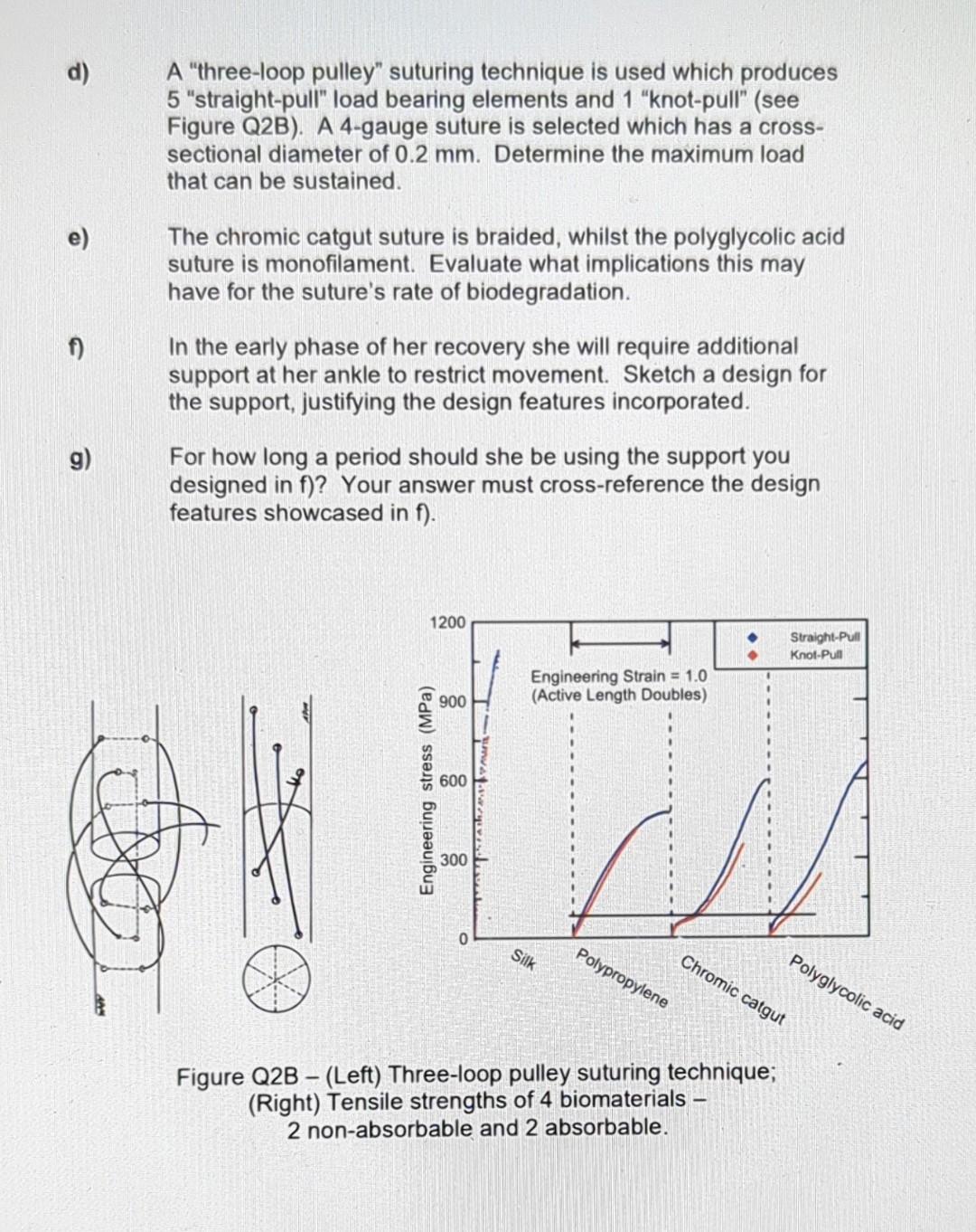 Solved d) A "three-loop pulley" suturing technique is used | Chegg.com