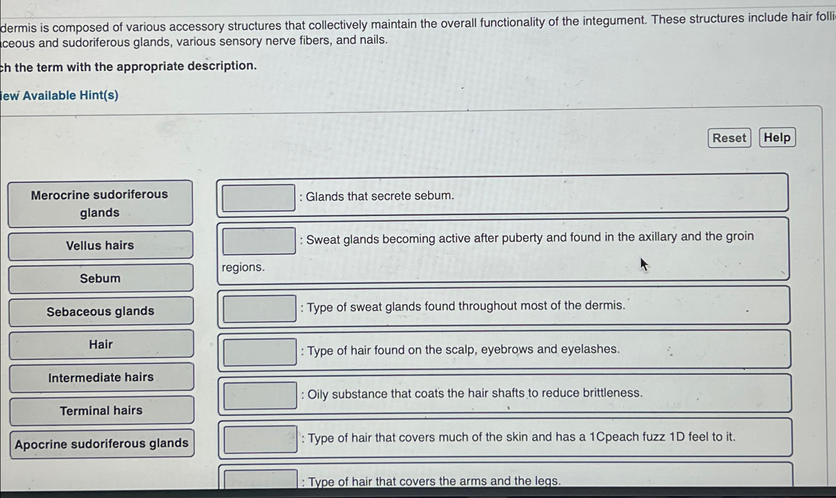 Solved dermis is composed of various accessory structures | Chegg.com