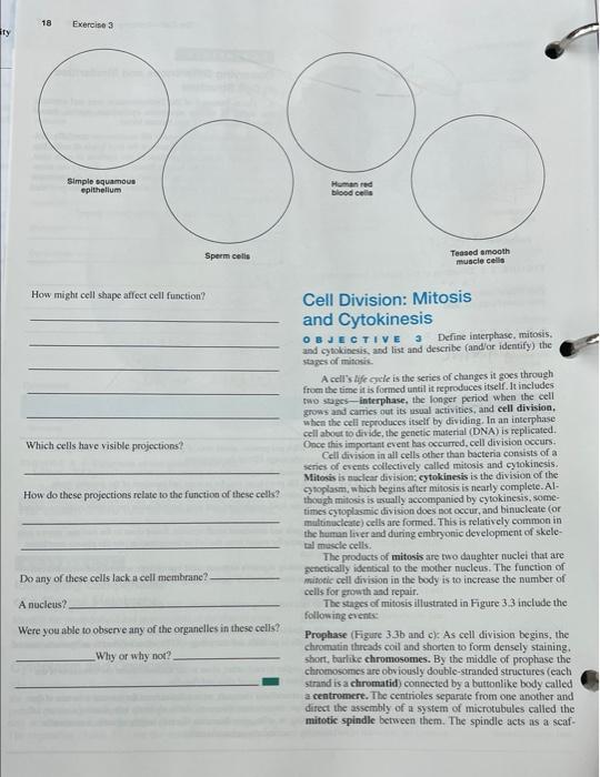 Solved Observing Differences and Similarities in Cell | Chegg.com