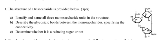 Solved The structure of a trisaccharide is provided below. | Chegg.com