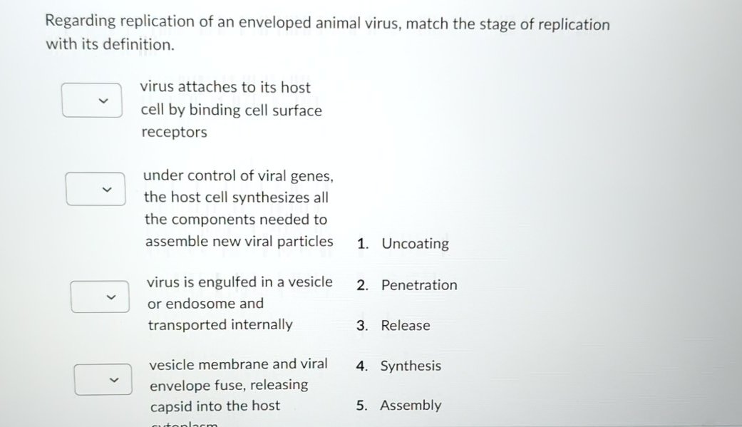 Solved Regarding replication of an enveloped animal virus, | Chegg.com